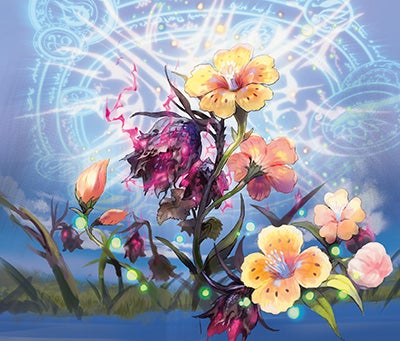 DM23-RP1デュエル・マスターズTCG アビス・レボリューション 第1弾 「双竜戦記」 | デュエル・マスターズ